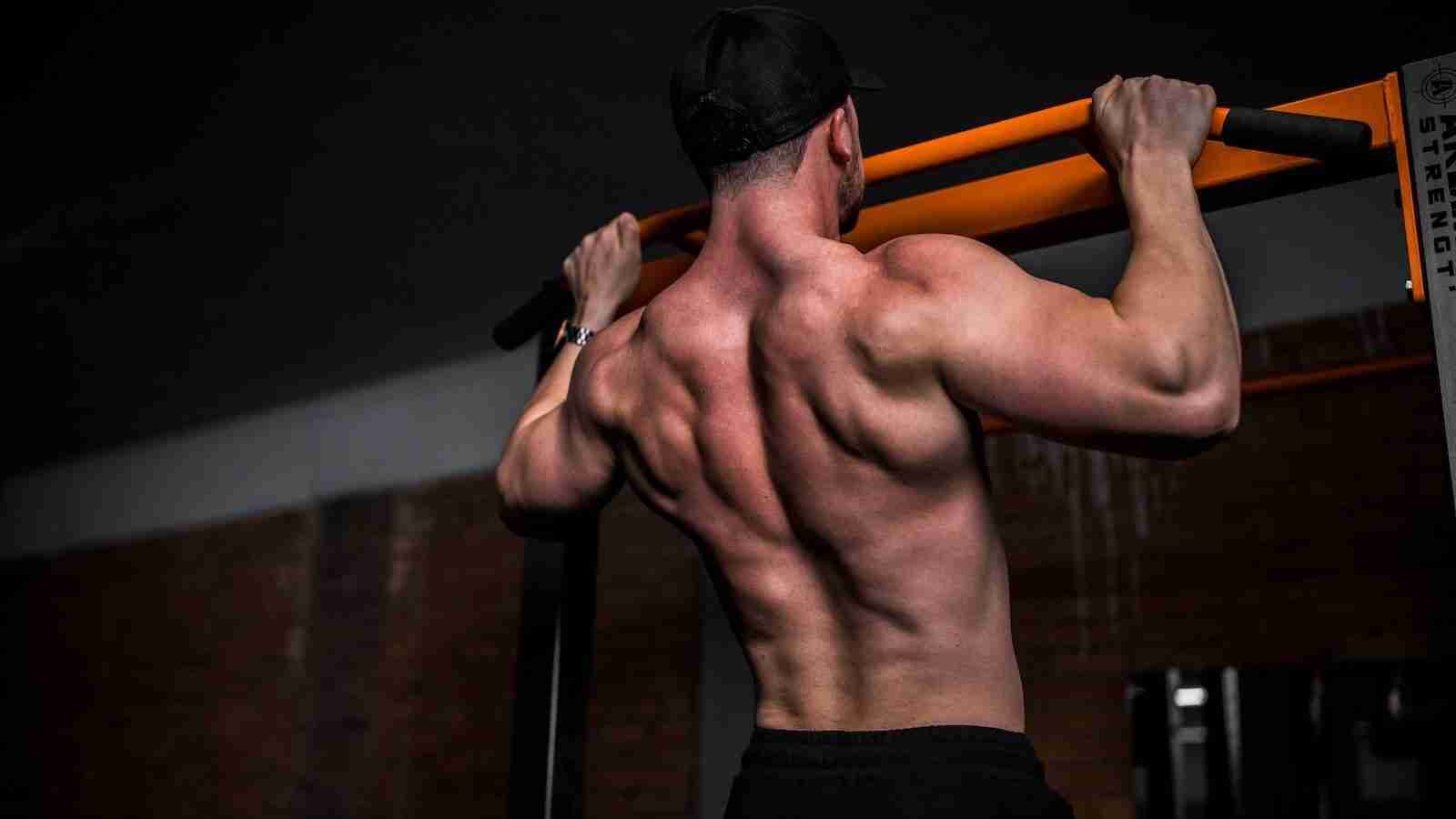 How to Get Veiny Arms: Tips For Building Vascular Muscles - Nutrition ...